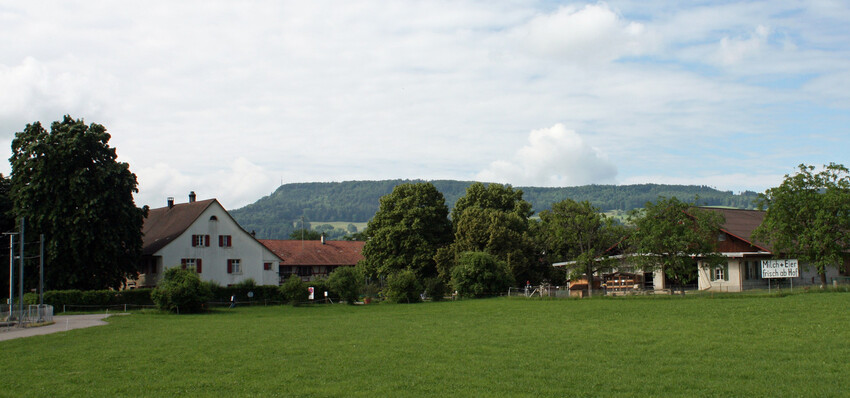 Bauernhofspielplatz - Der Neuhof - Ihr Bauernhof in Reinach BL