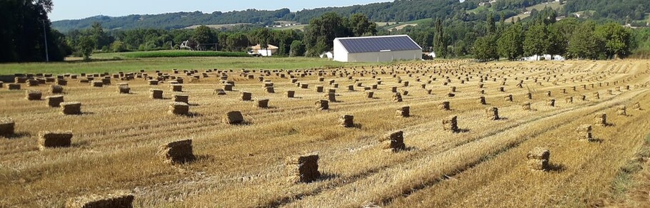 tarifs - petites bottes de paille et de foin