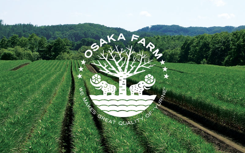 ゆり根専門 大坂農場 - osaka-farm 百合根専門ページ