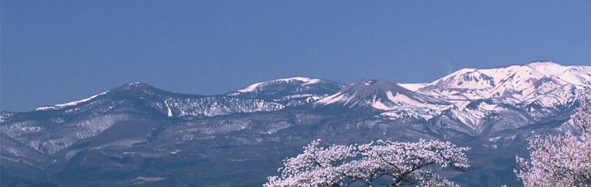 かながわ「福島応援」プロジェクト - kfop - kfop