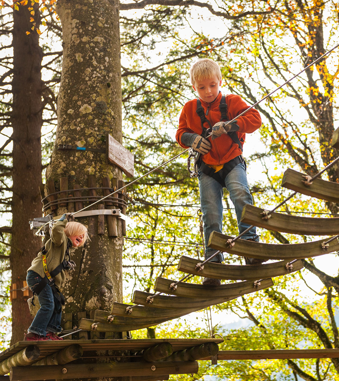 Gruppen - Seilpark Balmberg