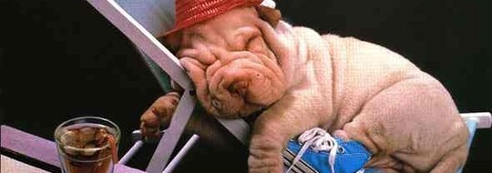 Slogue expérimente jimdo et fait toutes sorte de recherche. Le tout ...