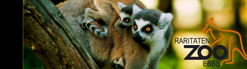 Raritätenzoo Ebbs - raritaetenzoos Webseite!