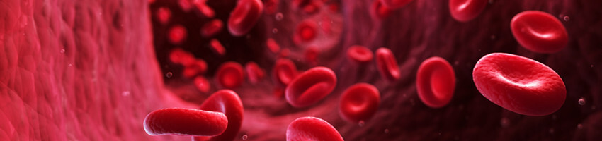 Das Blut - das-blut.ch Website