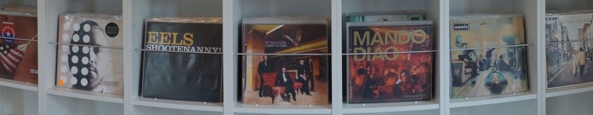 Neuheit! - DAS Schallplattenregal Plattenregal LP-Regal